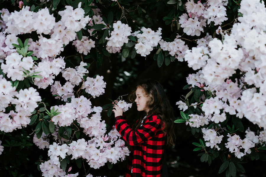 Weekly Update May 13-17 | Spring Fever, Recess Snacks, Yearbook Orders ...